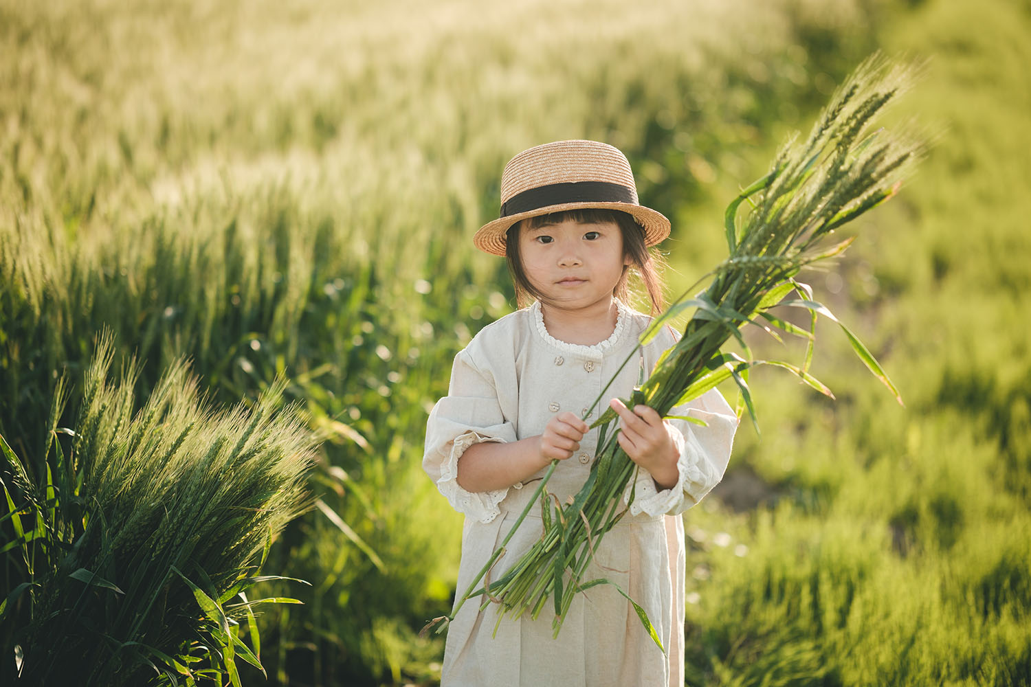 麦畑撮影会2024 — Wheat Field Photo Session 2024 — | Atelier Noëlle（アトリエノエル）