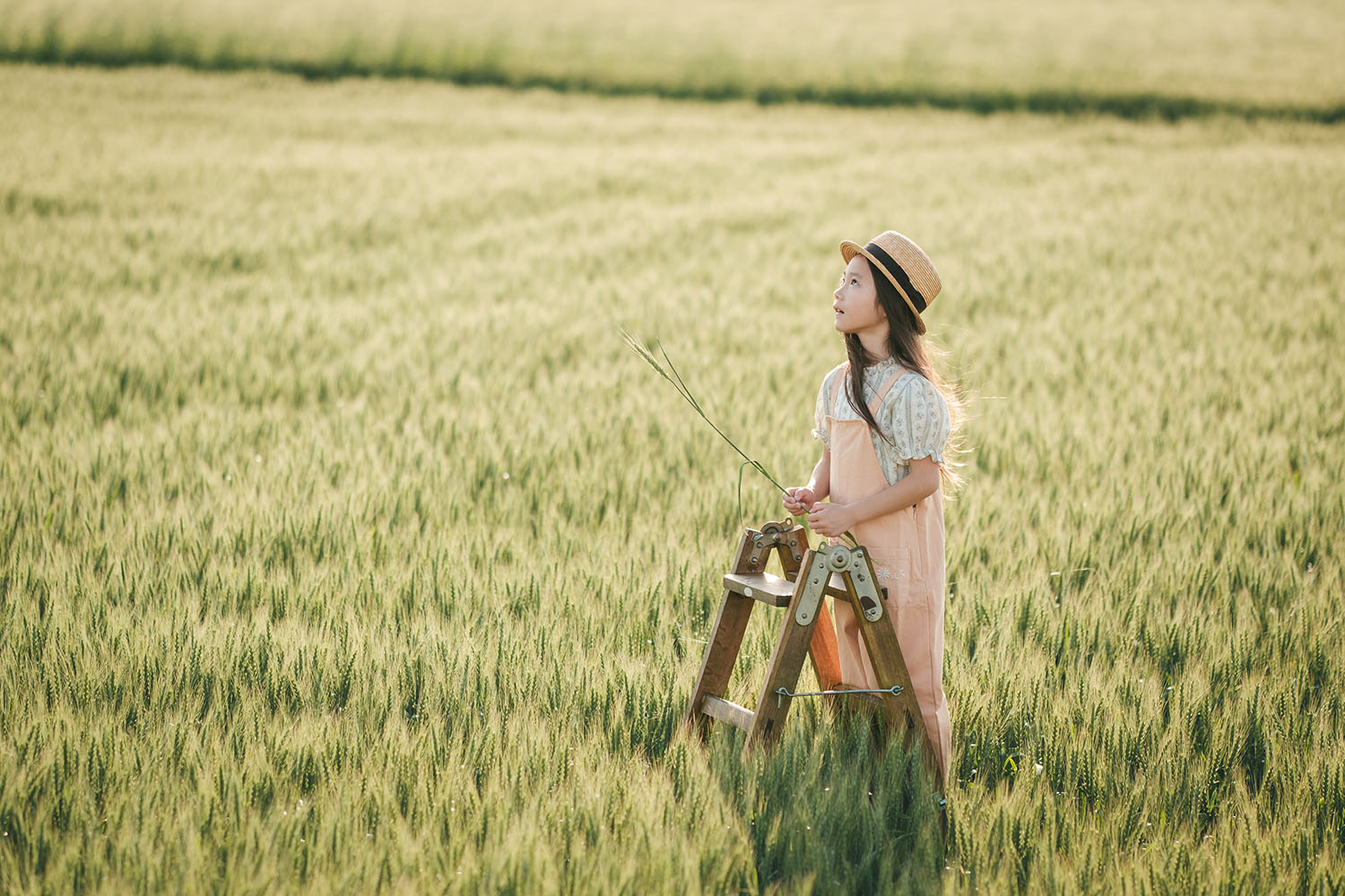 麦畑撮影会2024 — Wheat Field Photo Session 2024 — | Atelier Noëlle（アトリエノエル）